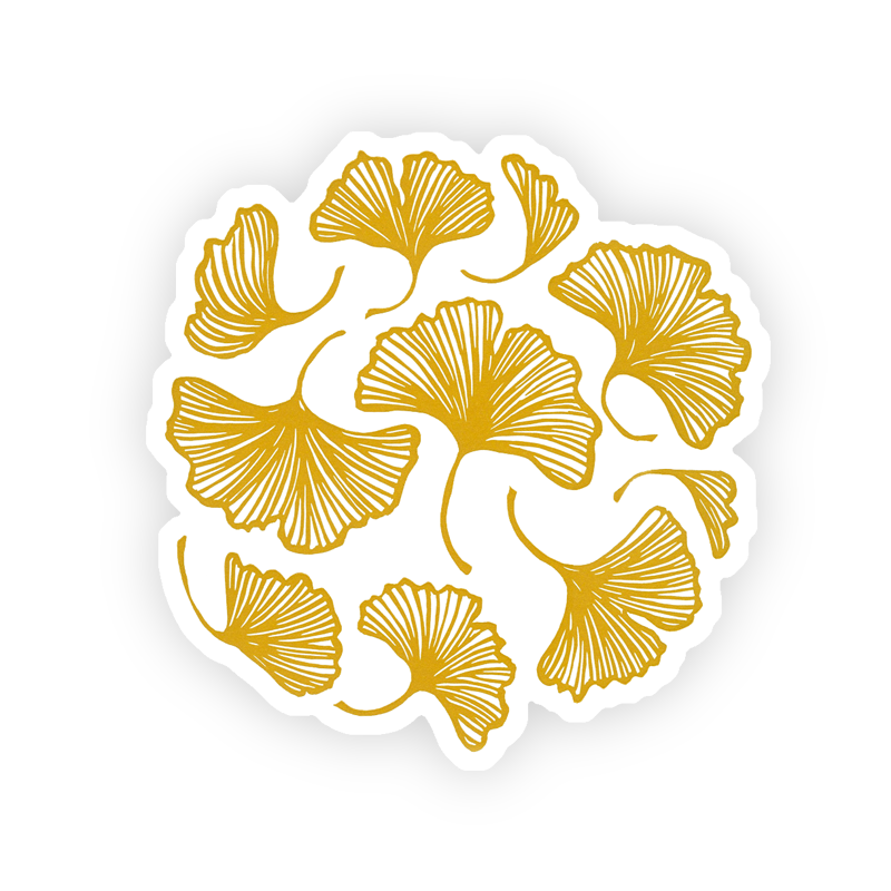 Ginkgo Vinyl Sticker – Coxswain Press